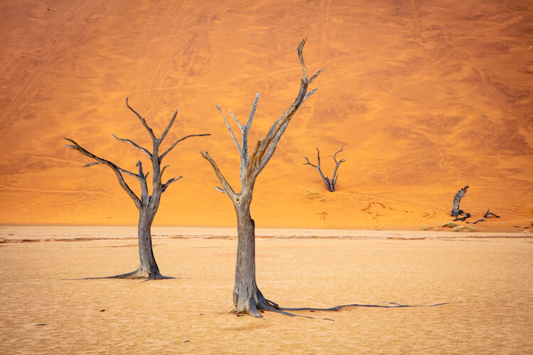 Namibia & Botswana Photography Tour | Chris Bray Photography