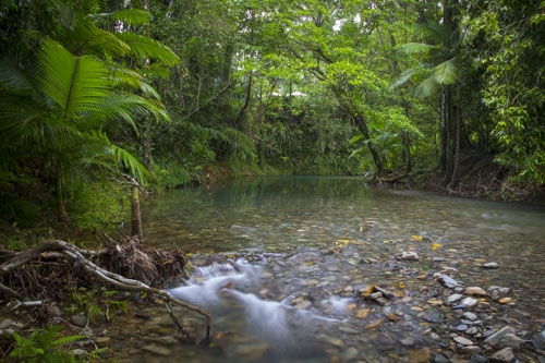 Tropical Queensland Photography Tour | Chris Bray Photography